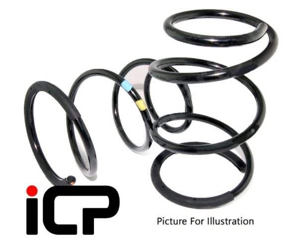 Rear Standard Coil Springs - Import Car Parts